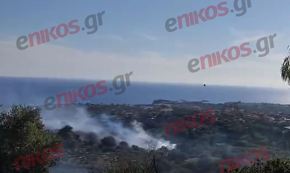 Κεφαλονιά: Χωρίς ενεργό μέτωπο η φωτιά στα Μεταξάτα – ΦΩΤΟ και ΒΙΝΤΕΟ ...
